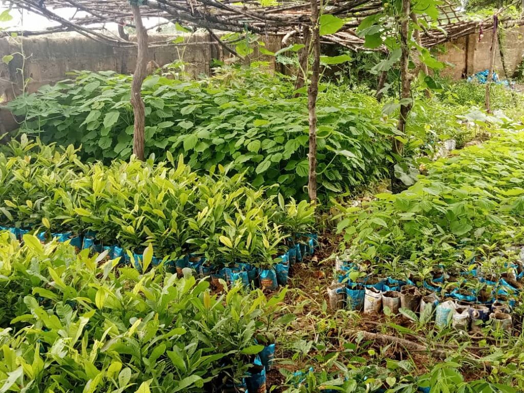 News from our member S&D Farm: Cultivating a Sustainable Future - GYIN